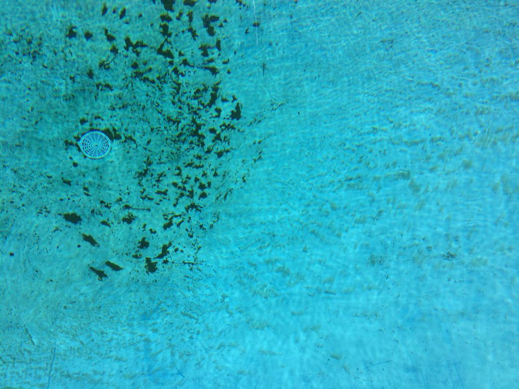 Ways to recognize stains in pools - AEC Kimya